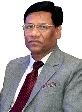 INDIAN POLITICAL SCIENCE ASSOCIATION India